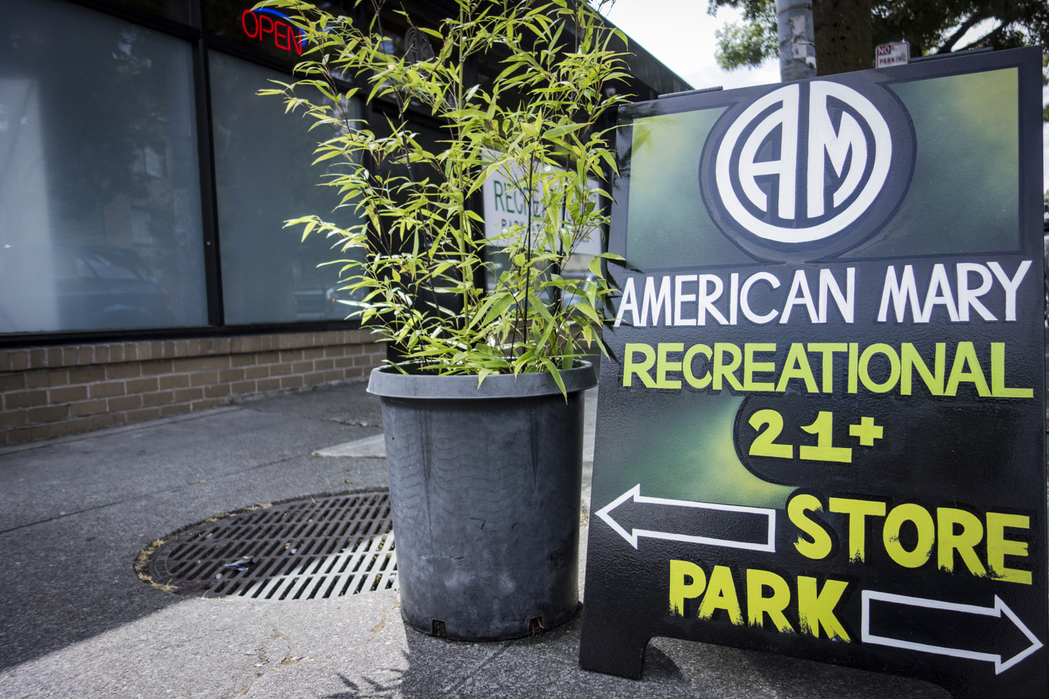 The Best Weed Dispensary in Seattle, WA – American Mary Washington